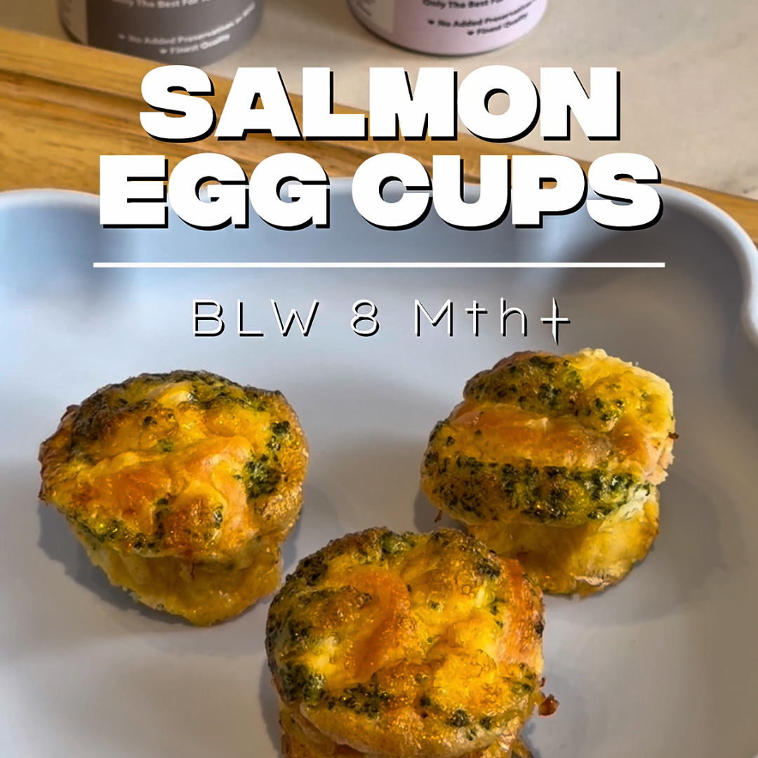Salmon Egg Cups – Lilo Premium Ikan Bilis Powder